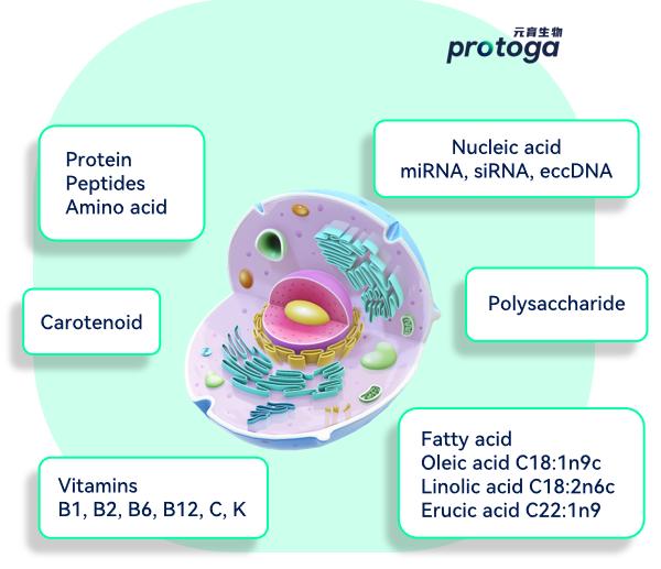China Protoga Cosmetics Ingredient Water-Soluble Chlorella Extract ...