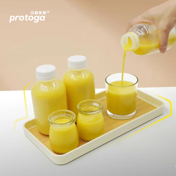 China Protoga® Goldren Algal Milk Manufacturer and Supplier | PROTOGA
