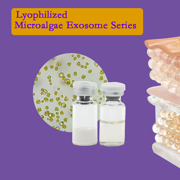 China Lyophilized Microalgae Exosome Series Manufacturer and Supplier ...