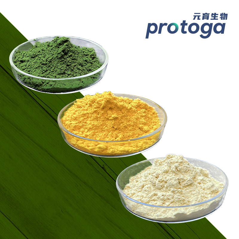 China Algael extract Chlorella Powder for healthy food Manufacturer and ...