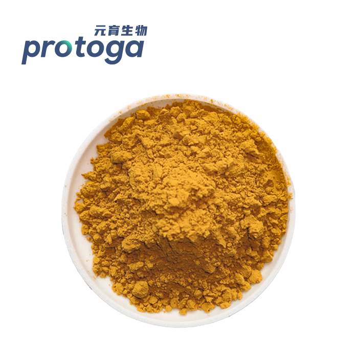 China Protoga® Euglena powder Manufacturer and Supplier | PROTOGA