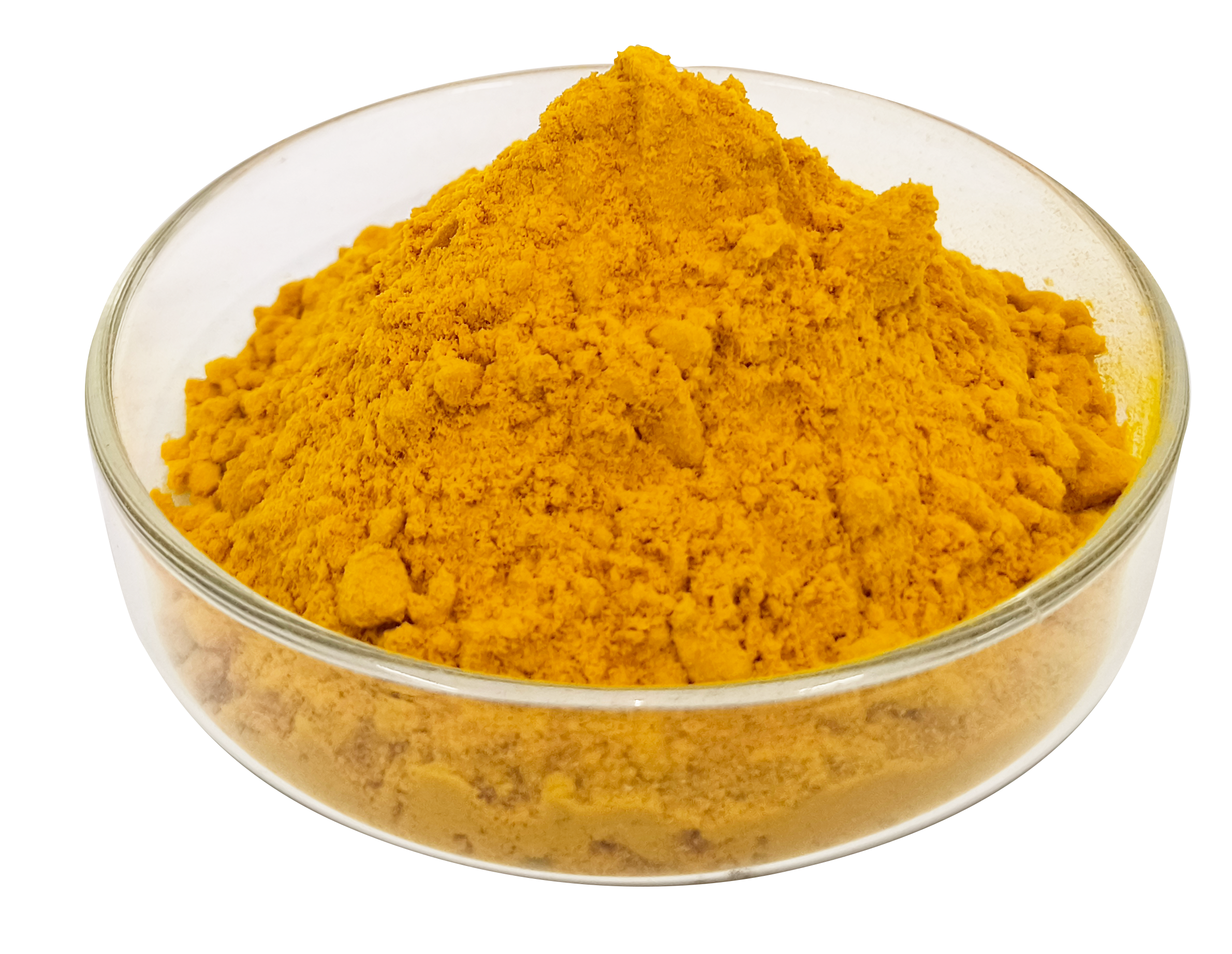 China Microalgae protein 55% Manufacturer and Supplier | PROTOGA