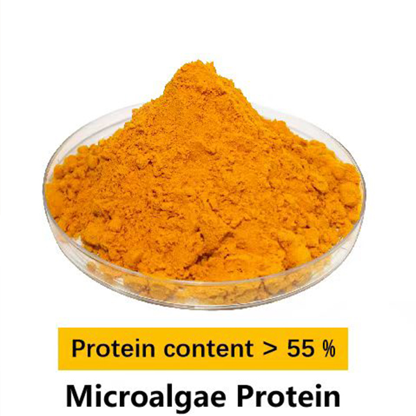 China Protoga® Microalgae protein Manufacturer and Supplier | PROTOGA